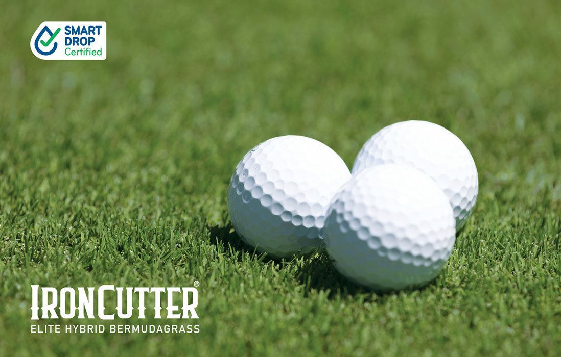 IronCutter Bermuda Turf | Billabong Turf Farm NSW