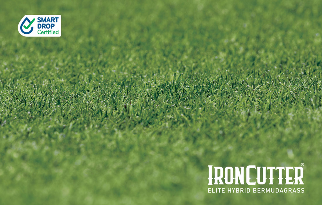 IronCutter Bermuda Turf | Billabong Turf Farm NSW